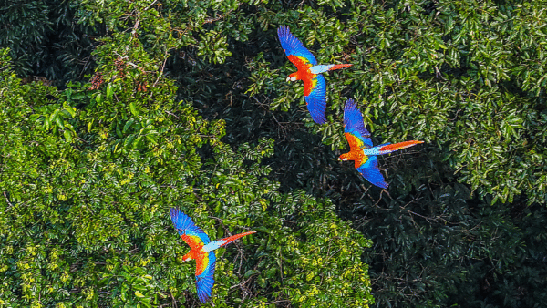 Brazil - Sun n Ski Holidays Brazil Adventure & Culture Holidays
